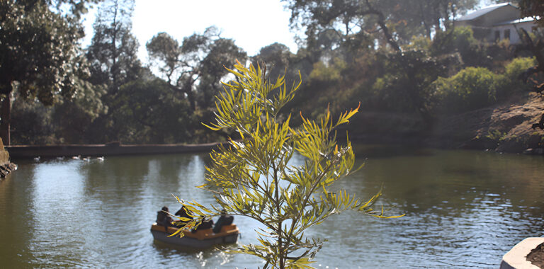 Bhulla Tal Lake – Flik Travel
